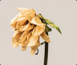 Soa-symptomen bij mannen: welke klacht wijst op welke soa? - Easly